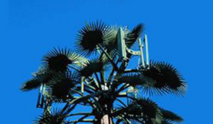 Monopine cell tower - Qingdao Megatro Mechanical and Electrical ...