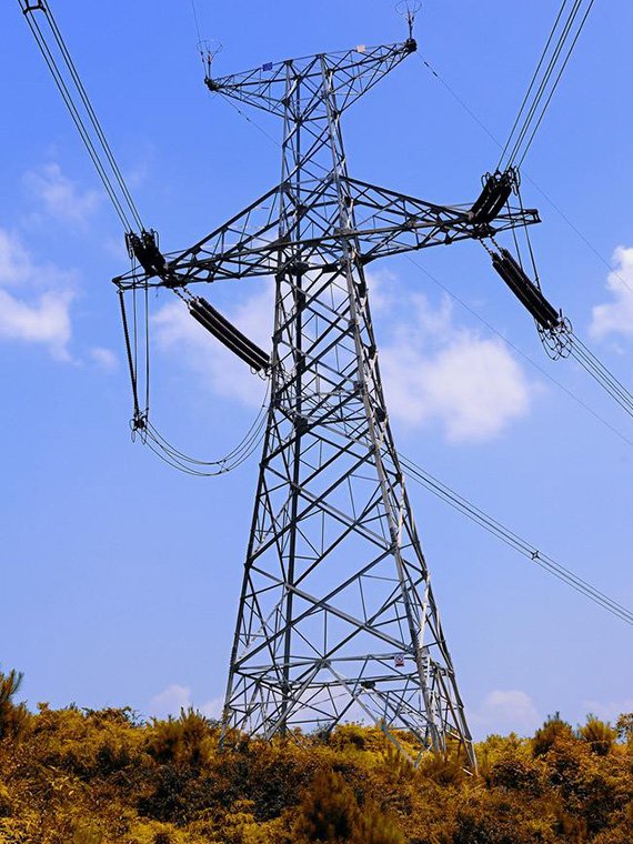 Double circuit tangent structure - Qingdao Megatro Mechanical and ...