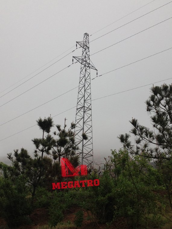 Double circuit tangent structure - Qingdao Megatro Mechanical and ...